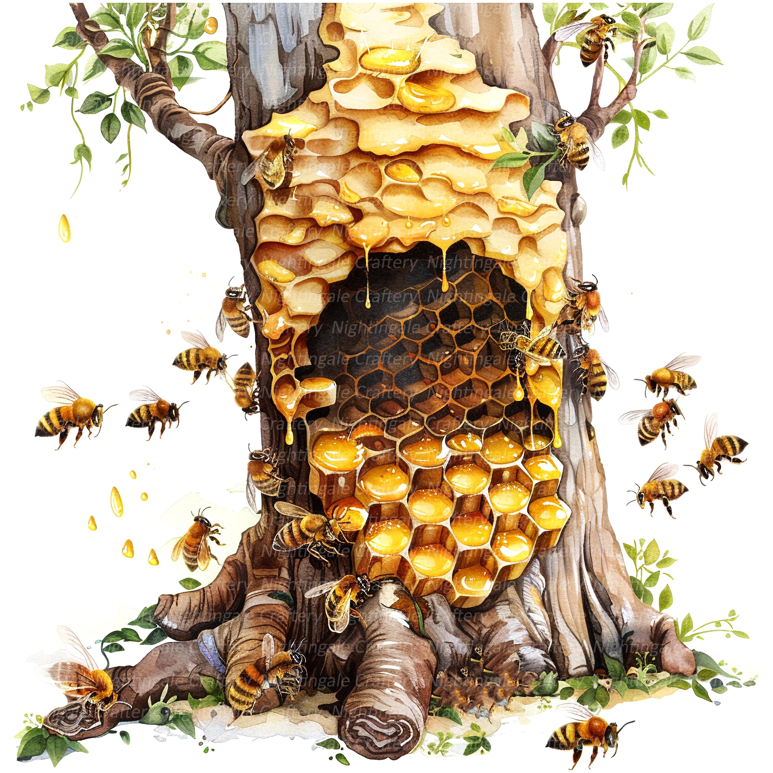 10 Bees Clipart, Honey Clipart, Beehive, Printable Watercolor Clipart ...