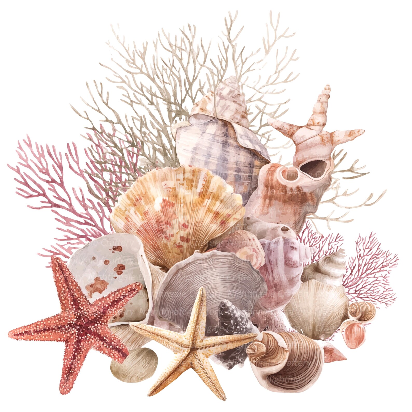 10 Boho Sea Shells Clipart, Seashell Clipart, Printable Watercolor ...