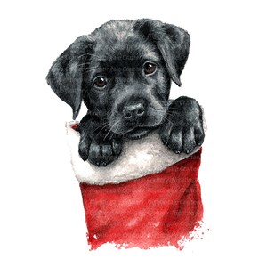 14 Christmas Puppy Clipart, Christmas Stocking, Digital Clipart ...