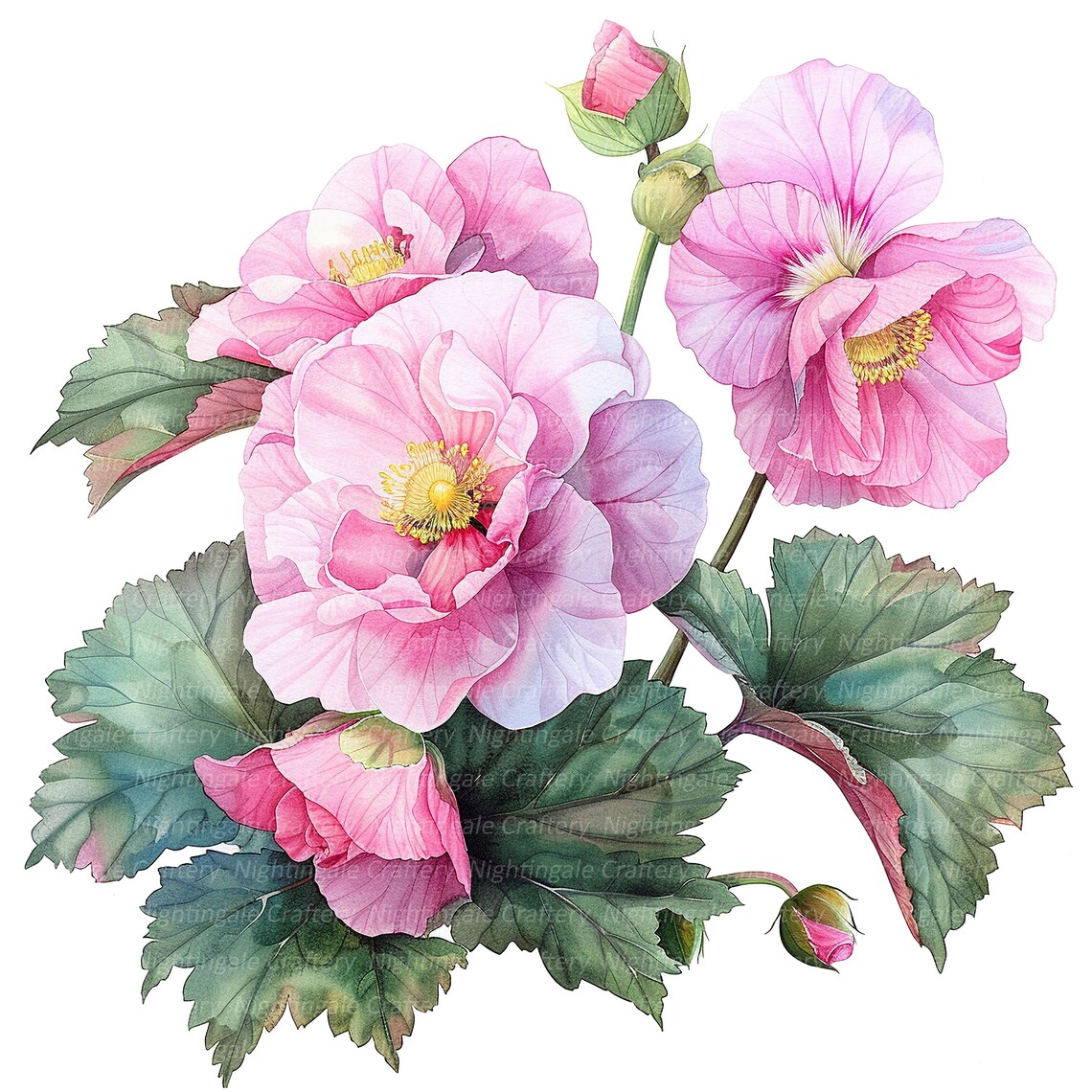 12 Begonia Flowers Clipart, Begonia Bouquet, Printable Watercolor ...