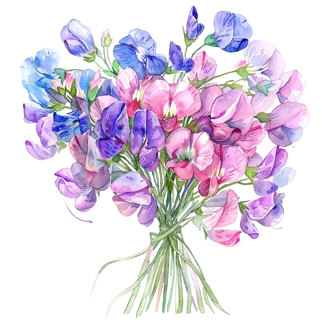 12 Sweet Pea Clipart, Sweet Pea Bouquet, Printable Watercolor Clipart ...