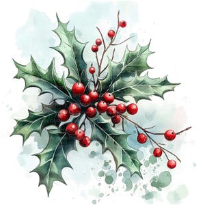 10 Holly Decor Clipart, Christmas Clipart, Digital Clipart, Watercolor ...