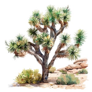 9 Joshua Tree Clipart, Joshua Tree Print, Printable Watercolor Clipart ...