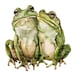 8 Frogs Friends Clipart, Frogs Hugging Clipart, Printable Watercolor ...
