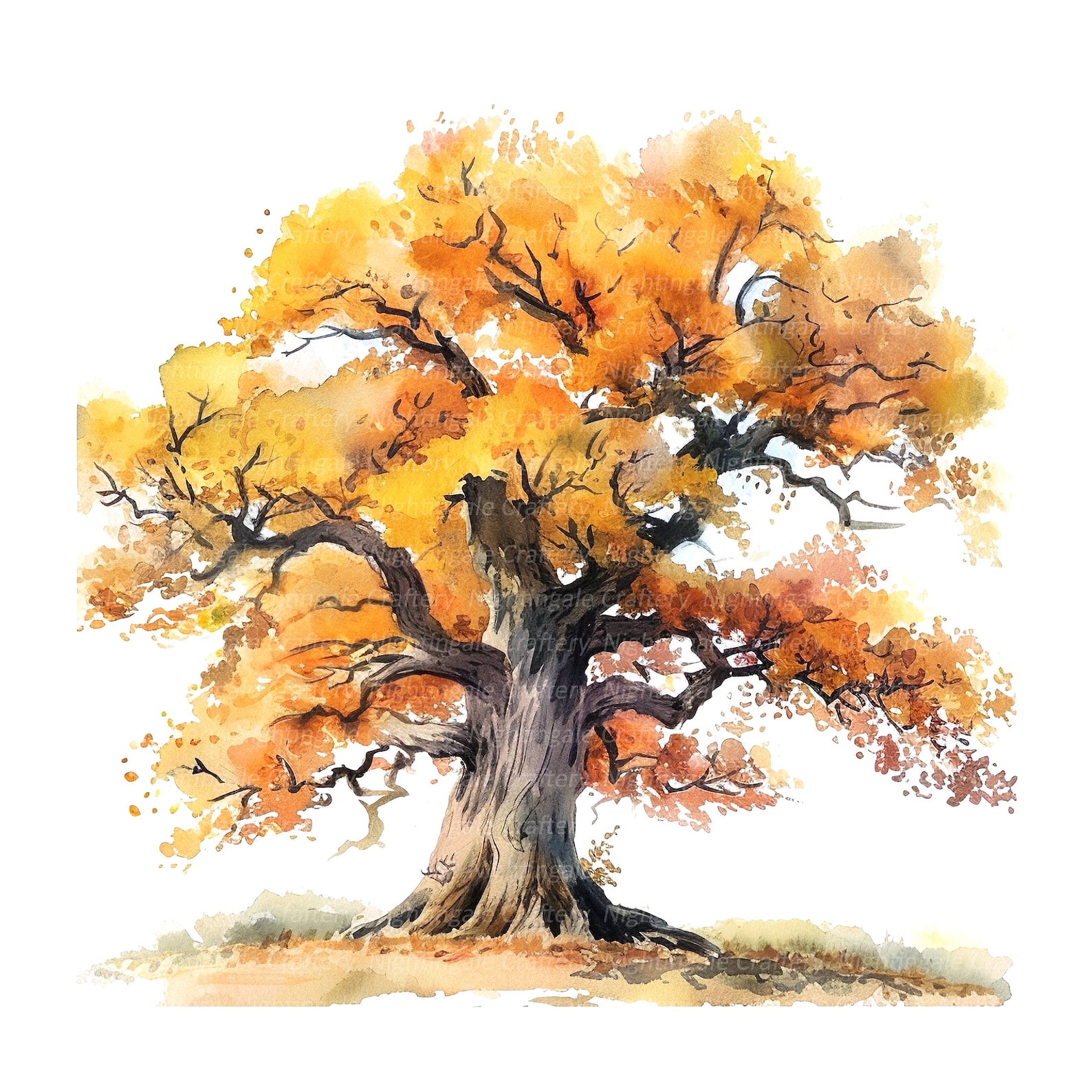 12 Oak Tree Clipart, Oak Clipart, Autumn Oak, Printable Watercolor ...