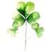 11 Shamrock Clipart, Clover Clipart, Printable Watercolor Clipart, High ...