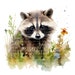 Raccoon in Forest Clipart, Printable Watercolor Clipart, 10 High ...