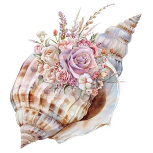 14 Floral Sea Shells Clipart, Seashell Clipart, Printable Watercolor ...