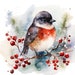 12 Special Christmas Robin Clipart, Printable Watercolor Clipart, High ...