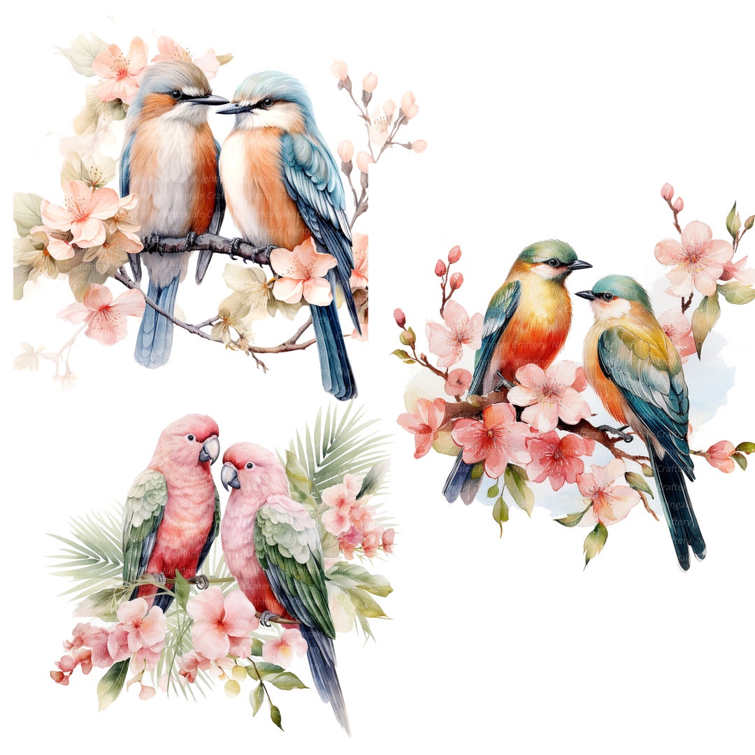 14 Romantic Vintage Birds Clipart, Bird Couple, Printable Watercolor ...
