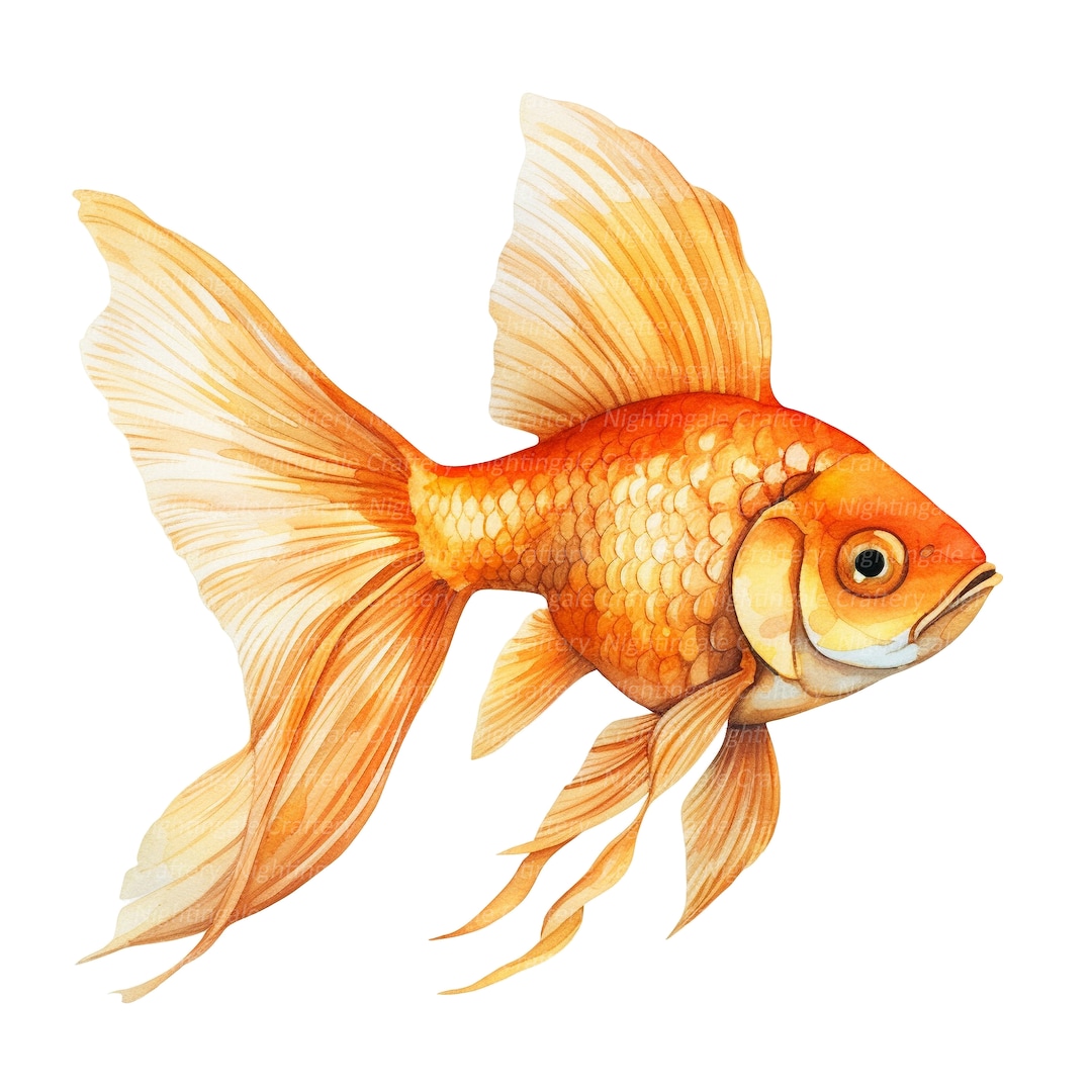 Clipart Goldfish Goldfish Clipart Images Free Download On Freepik