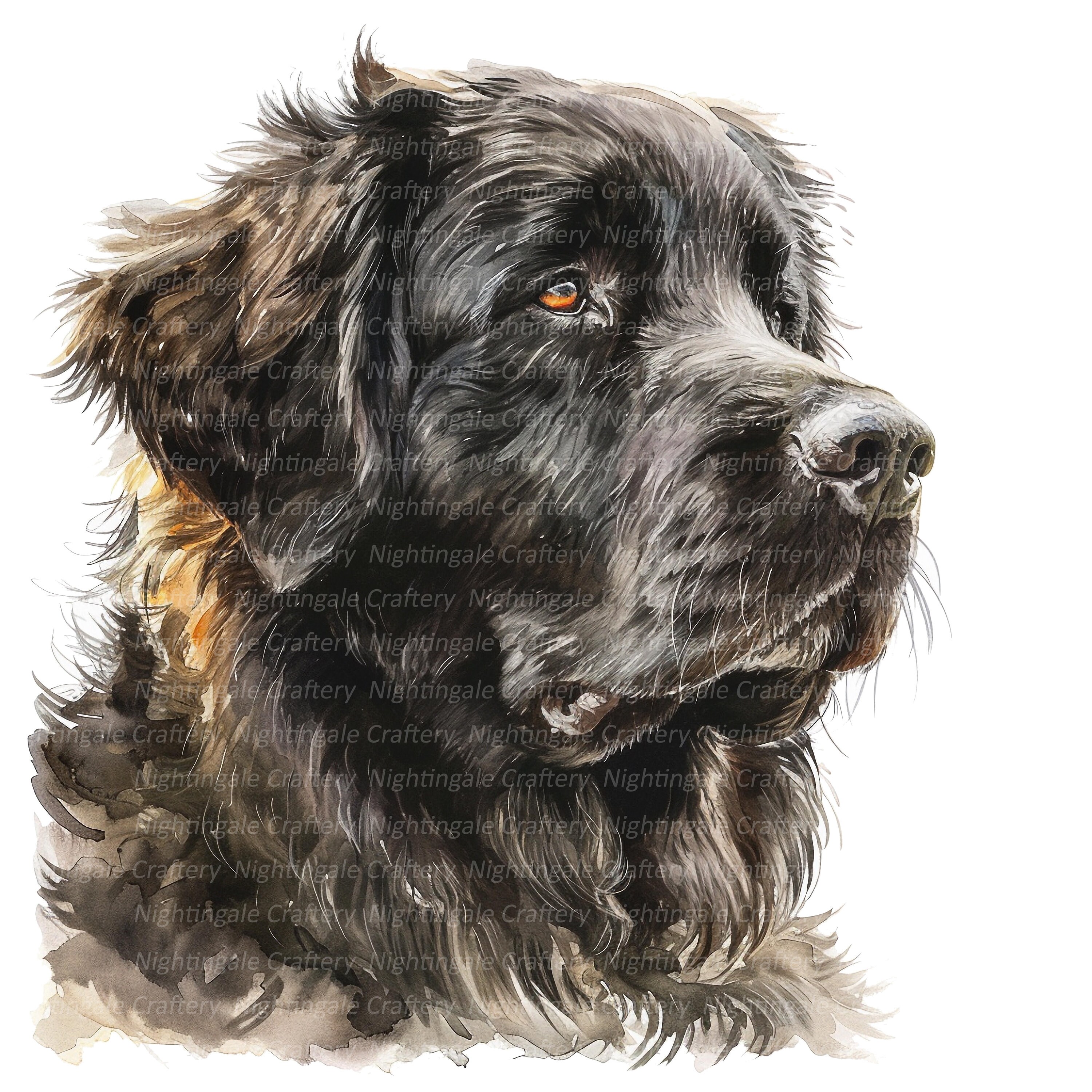 11 Newfoundland Dog Clipart, Printable Watercolor Clipart, High Quality ...