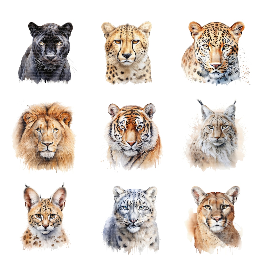 10 Cats Predators Clipart, Hyperrealistic, Printable Watercolor Clipart ...
