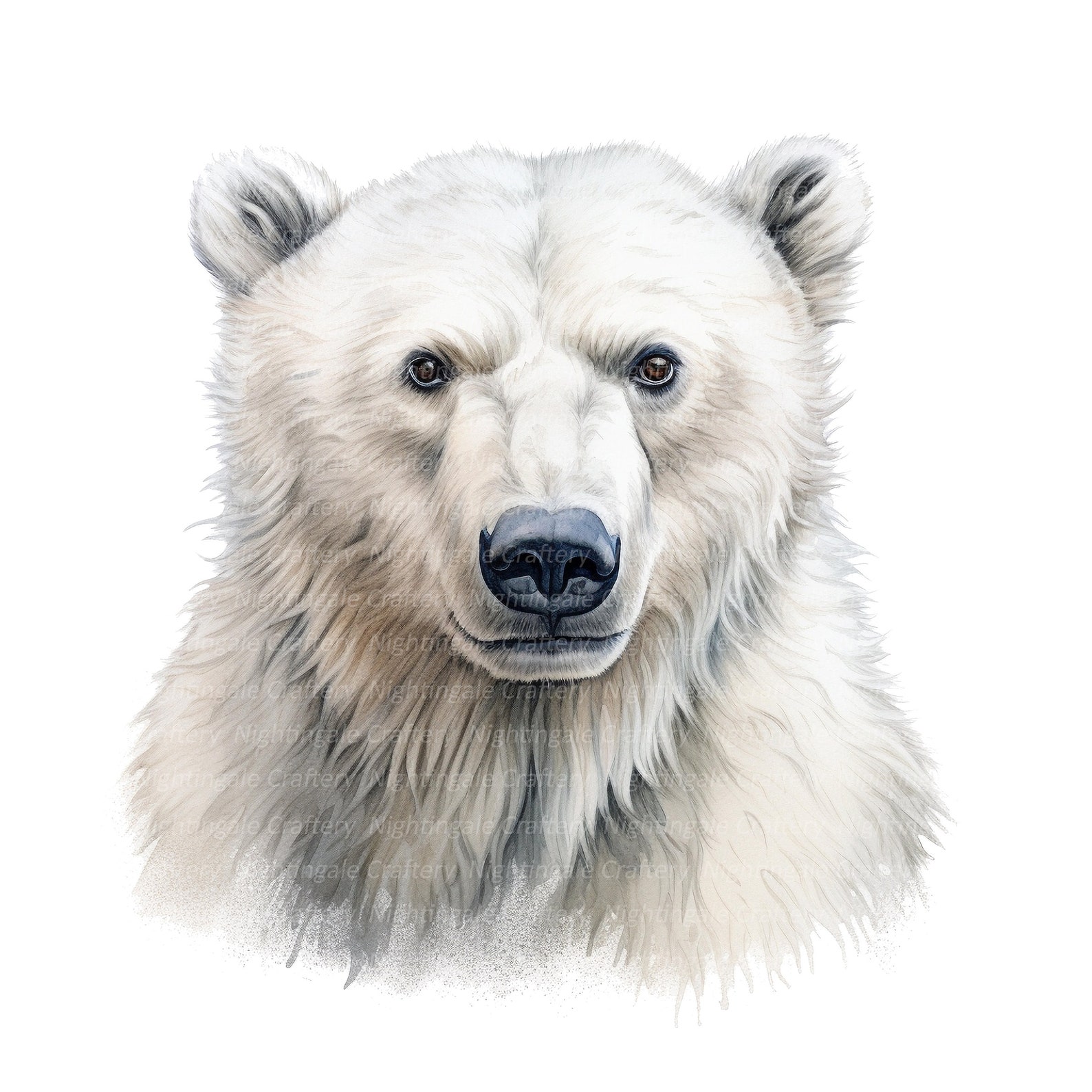 10 Polar Bear Clipart Printable Watercolor Clipart High - Etsy