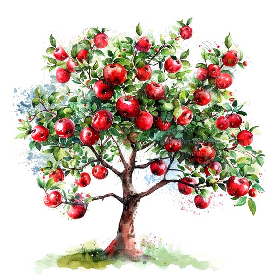 Apple Tree Vector Apple Tree Vectoren, Illustraties En Clipart 123RF