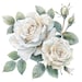 10 White Roses Clipart Set 2, Roses Bouquet, Printable Watercolor ...