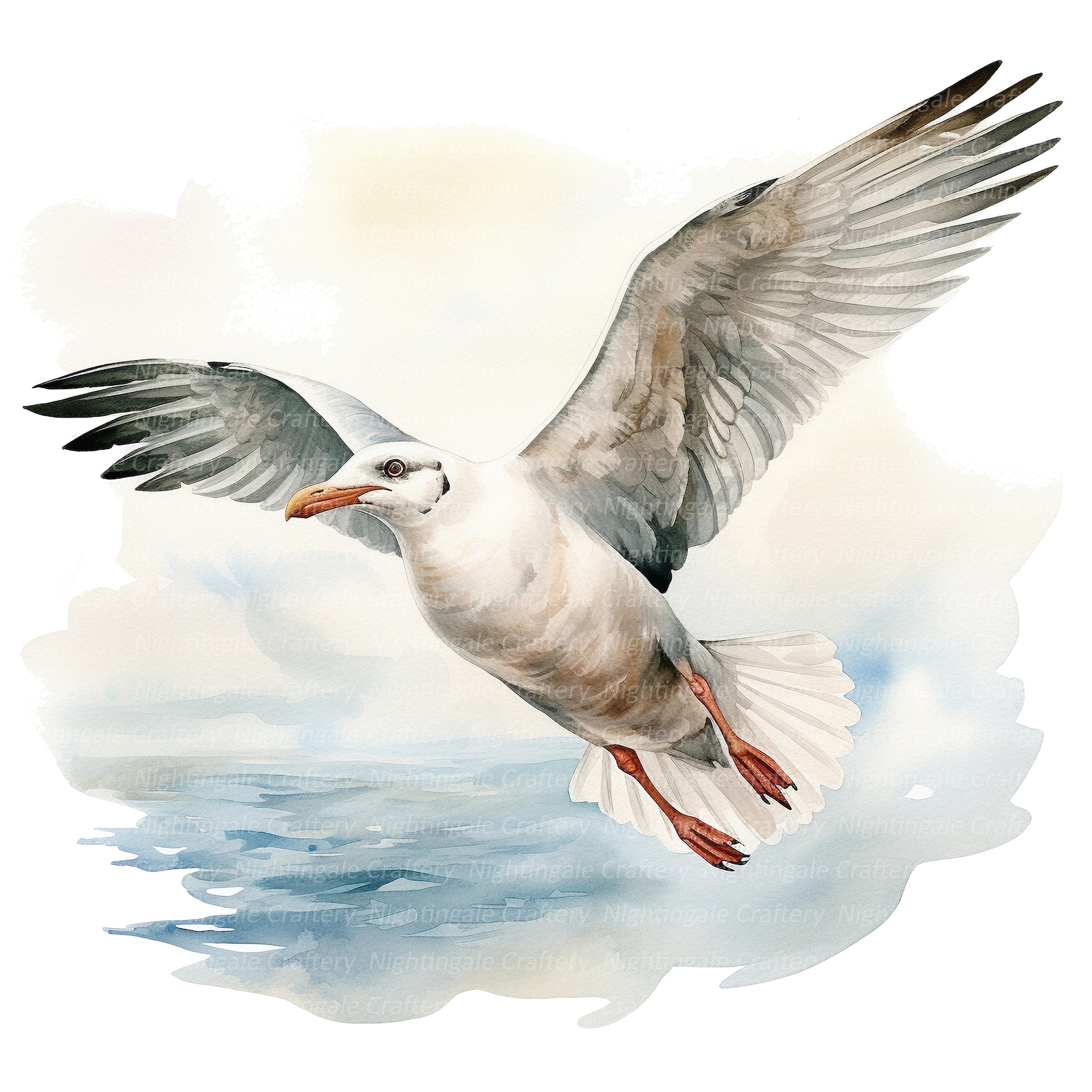 10 Seagull Clipart, Gull Clipart, Printable Watercolor Clipart, High ...
