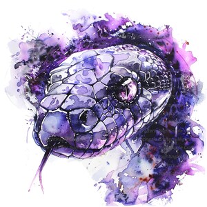 8 Purple Snake Clipart, Snake Eyes, Cobra Print, Printable Watercolor ...