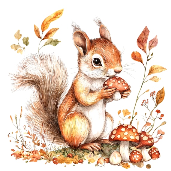 Squirrel Clip Art Printables