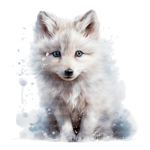 12 Arctic Fox Clipart, Printable Watercolor Clipart, High Quality Jpgs ...