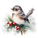 20 Various Christmas Birds Clipart, Robin, Printable Watercolor Clipart ...