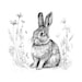 10 Bunny Black Ink Clipart, Line Art Clipart, Printable Watercolor ...
