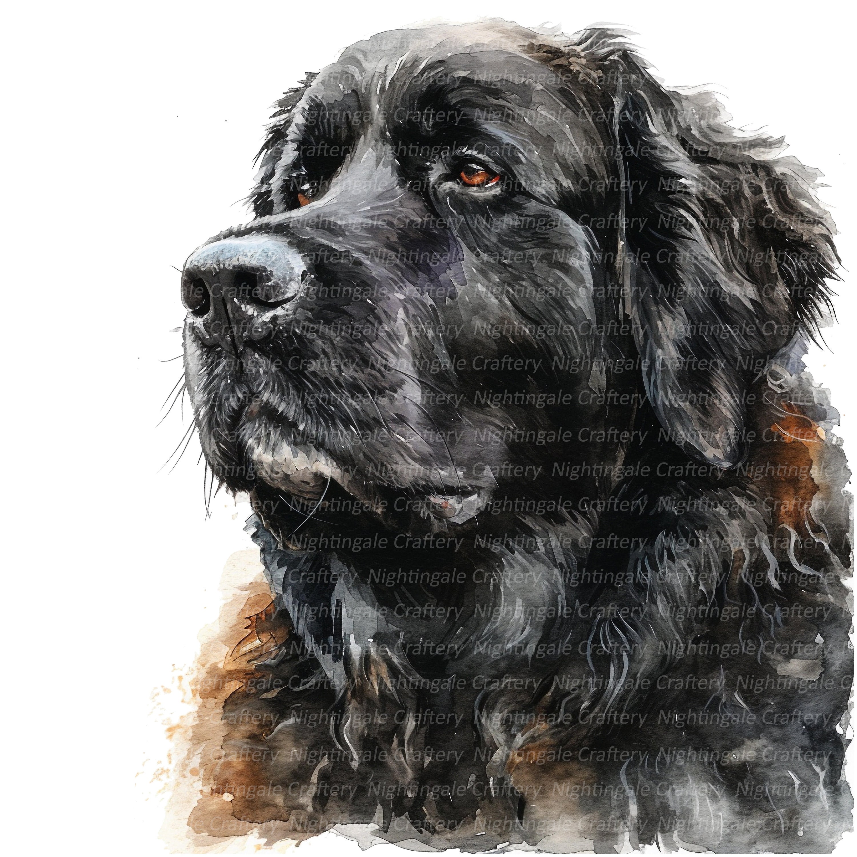 11 Newfoundland Dog Clipart, Printable Watercolor Clipart, High Quality ...