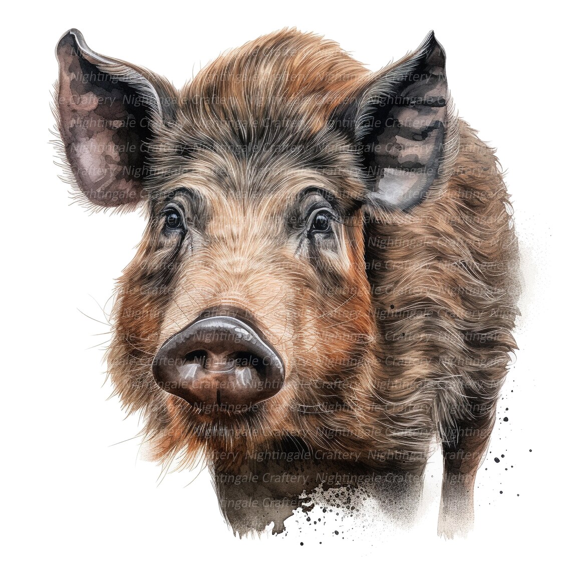 Wild Boar Close up Clipart Printable Watercolor Clipart 8 - Etsy UK