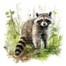 Raccoon in Forest Clipart, Printable Watercolor Clipart, 10 High ...