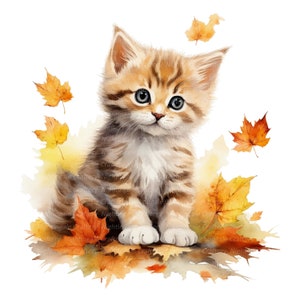 10 Kitten Autumn Clipart, Cat Clipart, Printable Watercolor Clipart ...