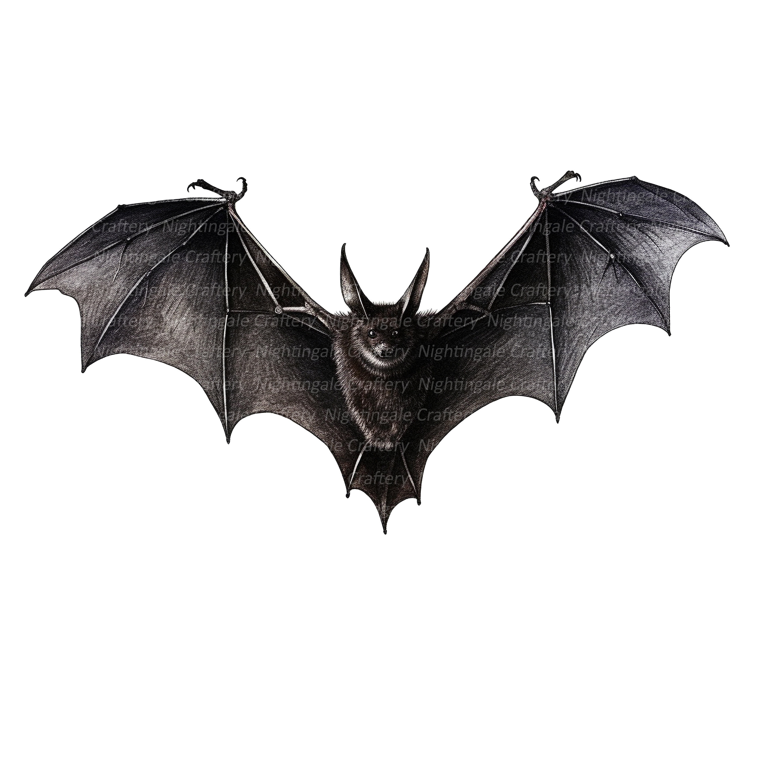 Clipart Vampire Bat Free: Microbat Vampire, Halloween Vampire Bat