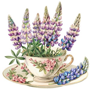 10 Lupins in Tea Cup Clipart, Floral Tea Cup, Printable Watercolor ...