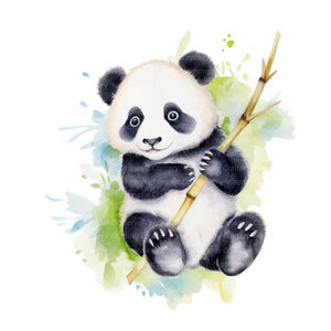 10 Panda Playing Clipart, Watercolor Drawing, Printable Watercolor ...