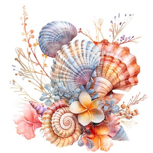 10 Floral Seashells Clipart, Sea Shells Clipart, Printable Watercolor ...