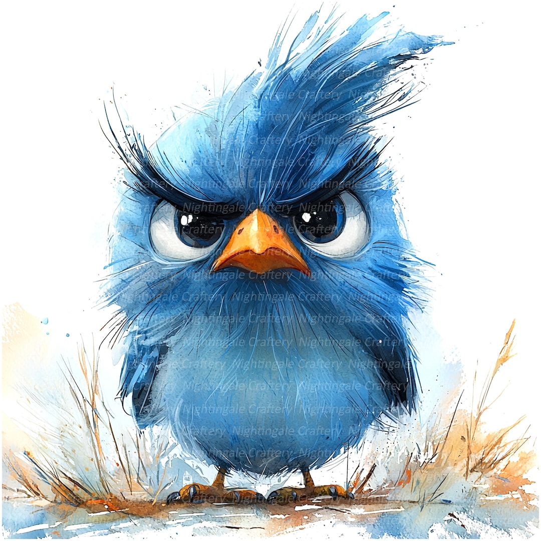 10 PNG Grumpy Bird Clipart, Christmas Robin Bird, Printable Watercolor ...