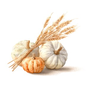 9 Boho Autumn Wall Art, Pumpkin Clipart, Digital Clipart, Watercolor ...