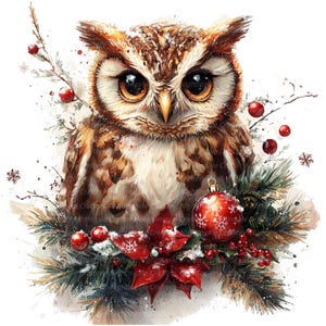 9 Christmas Owl Clipart Set 2, Christmas Card, Printable Watercolor ...