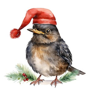 12 Christmas Blackbird Clipart, Black Bird, Printable Watercolor ...