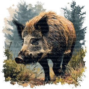 10 Wild Boar in Seasons Clipart, Poster, Printable Watercolor Clipart ...