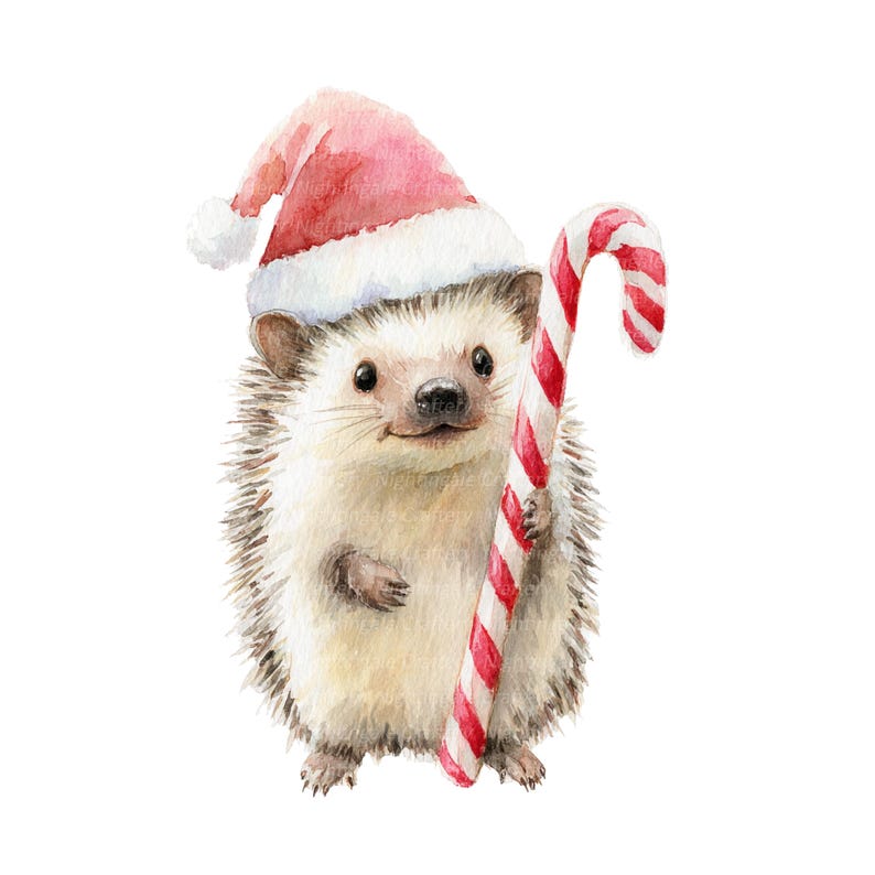 10 Santa Hedgehog Clipart, Christmas Card, Printable Watercolor Clipart ...