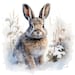 12 Hare in Winter Clipart, Printable Watercolor Clipart, High Quality ...