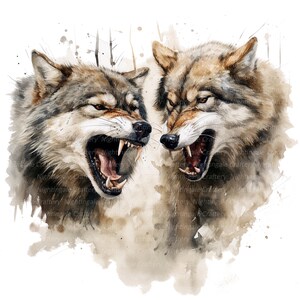 9 Wolves Fight Clipart, Angry Wolf, Printable Watercolor Clipart, High ...