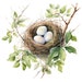 11 Bird Nest Clipart, Decorative Nest, Eggs, Printable Watercolor ...