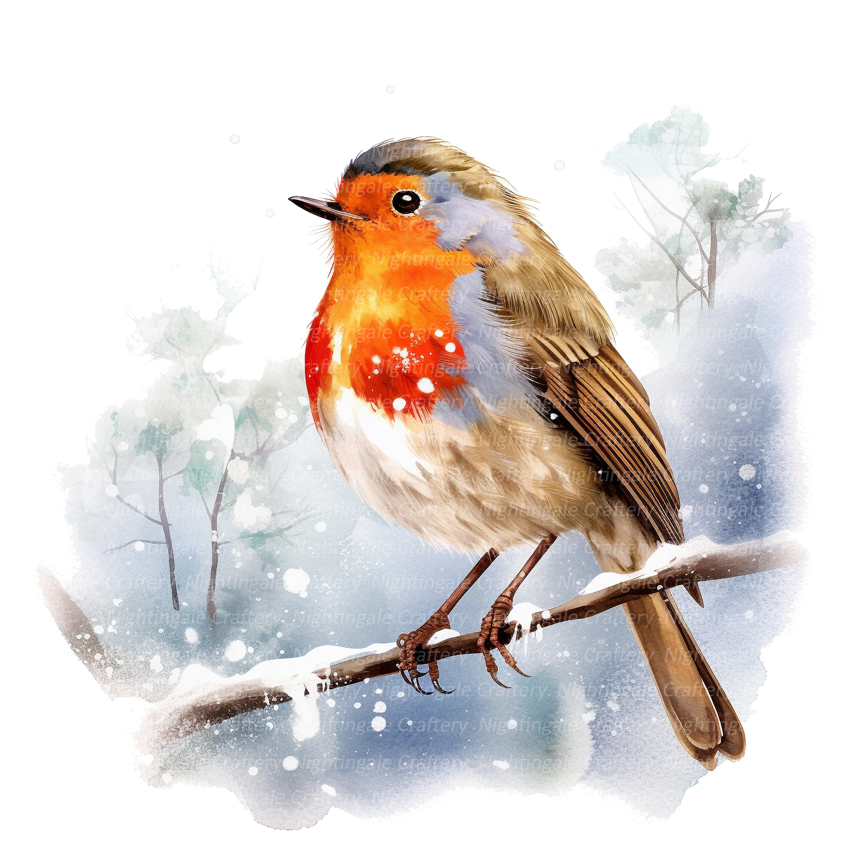 10 Christmas Robin Clipart Printable Watercolor Clipart High - Etsy UK