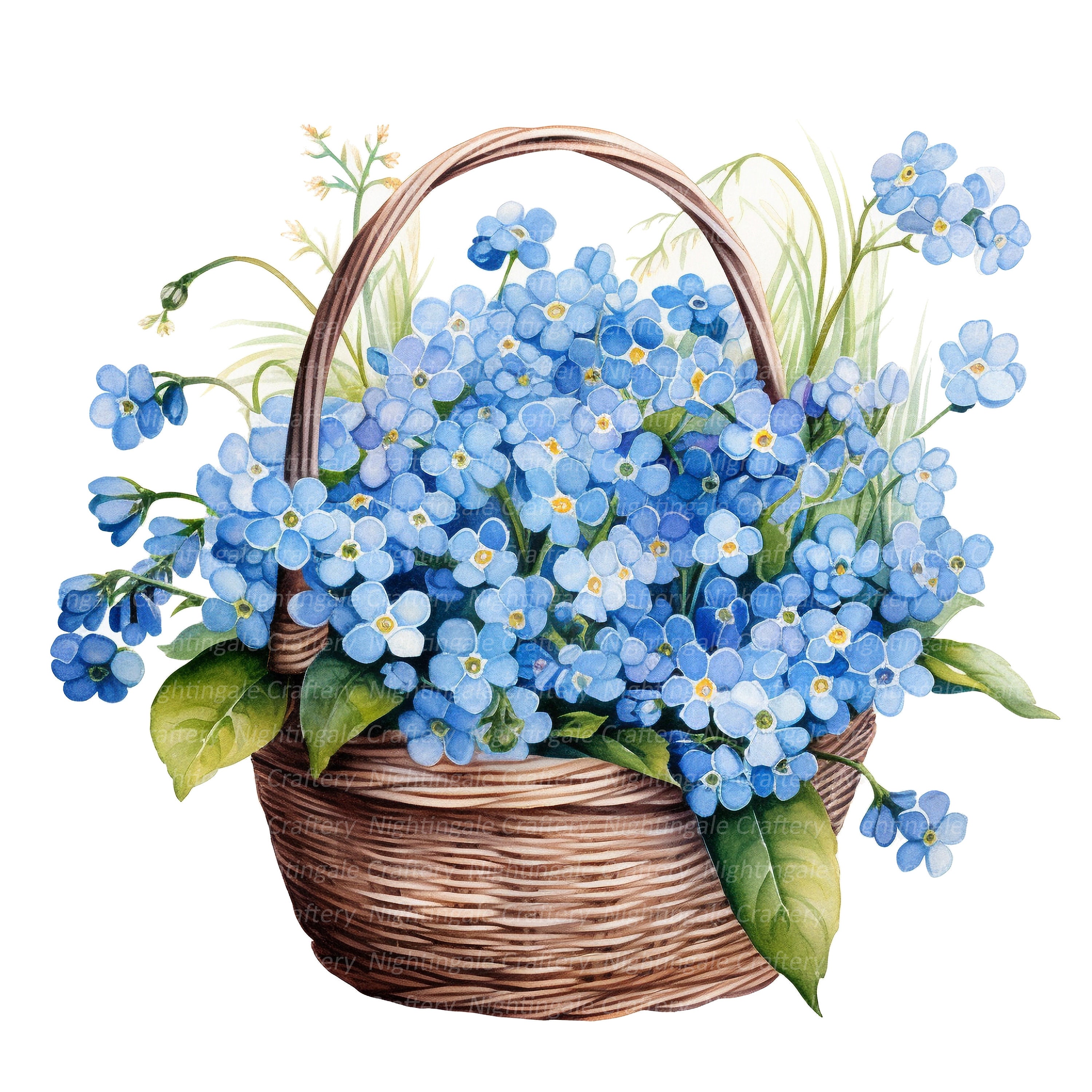8 Forget Me Not Clipart Forget-me-not Basket Printable - Etsy
