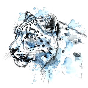 8 Snow Leopard Clipart, Blue Ink Leopard, Printable Watercolor Clipart ...