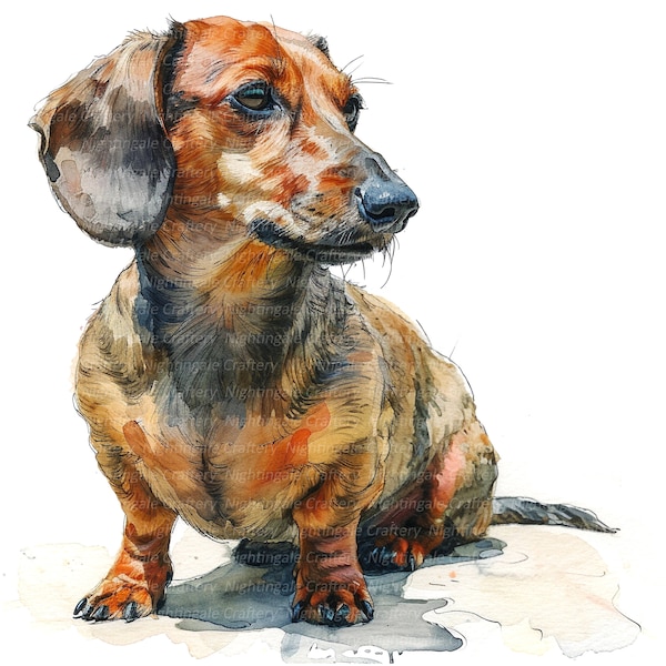 Dachshund Clipart - Etsy