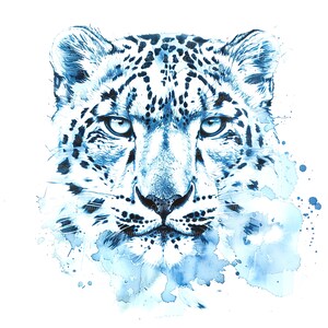 8 Snow Leopard Clipart, Blue Ink Leopard, Printable Watercolor Clipart ...