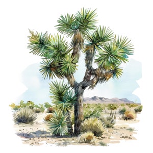 9 Joshua Tree Clipart, Joshua Tree Print, Printable Watercolor Clipart ...