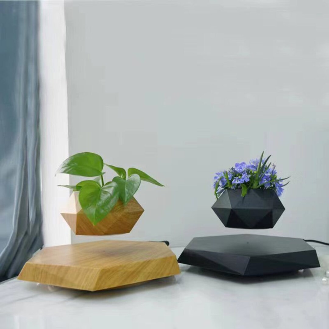 Levitating Air Plant Planter Magnetic Floating Bonsai Pot - Etsy
